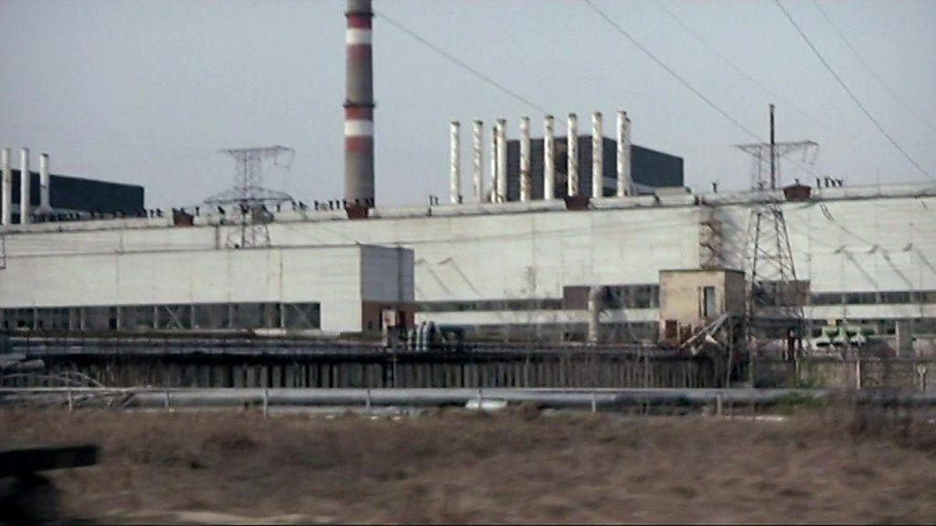Chernobyl sheep movement restrictions 'unnecessary' - BBC News