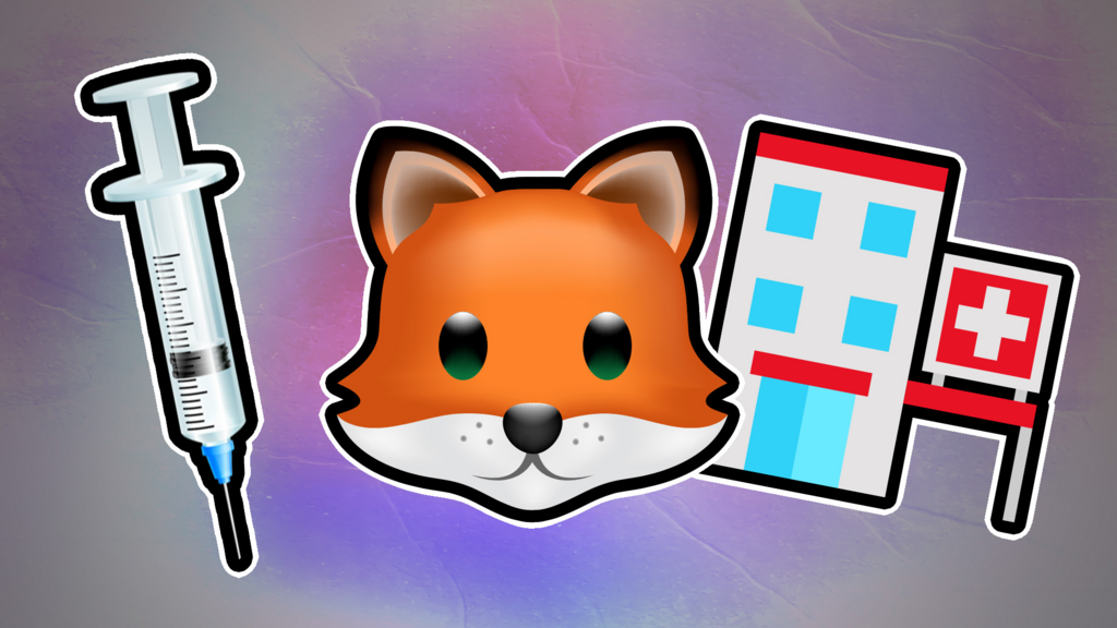 Wildlife centre staff wear fox masks to care for kits - BBC Newsround