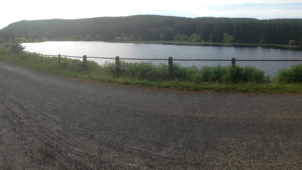 South of Scotland Live: News, sport, weather and travel updates from ...