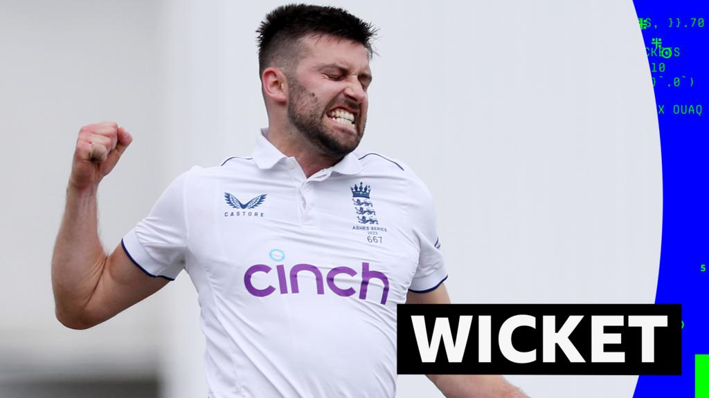 The Ashes: England's Mark Wood bowls 95mph ball to remove Australia's ...