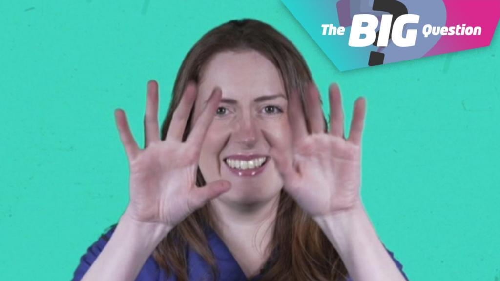 The Big Question: Why do we have lines on our palms? - BBC Newsround