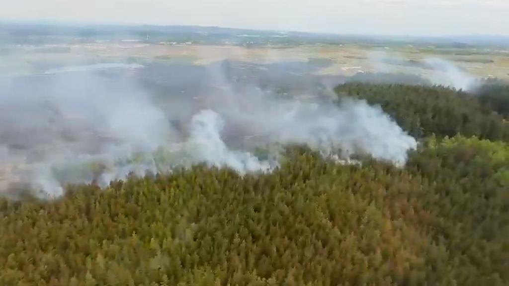 Wildfires in the UK: Why do they happen? - BBC Newsround