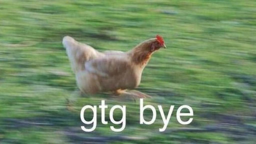 Gtg Chicken Memes GTG Chicken ShopperBoard