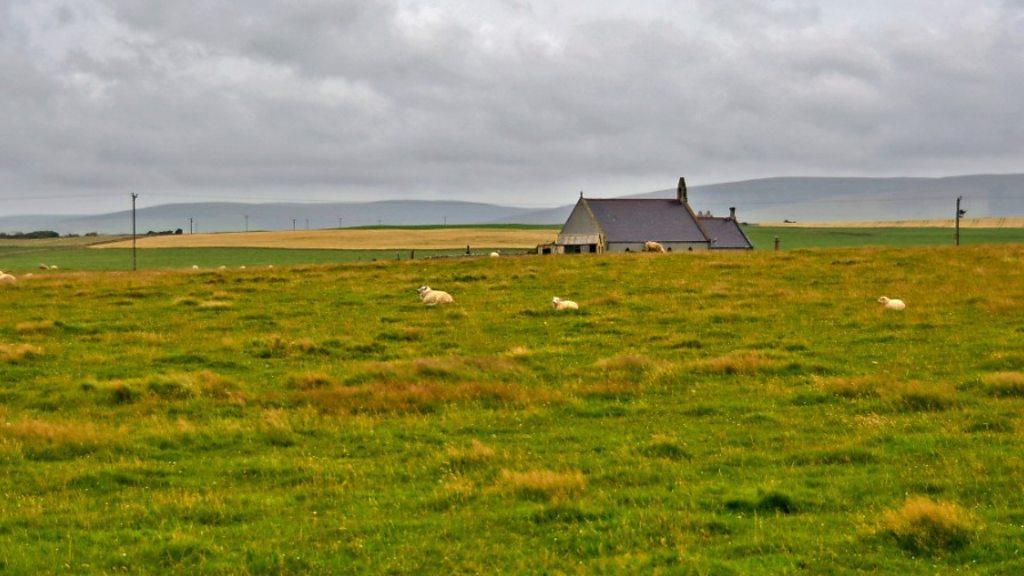 Orkney FC prepare to play two matches on same day - BBC Sport