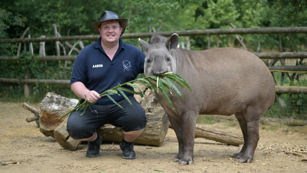 One Zoo Three's Aaron tells us about the new series - BBC Newsround