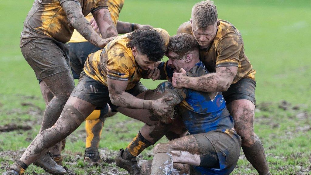 Josh Hartshorne: Cornwall player referred to tribunal after punch in ...
