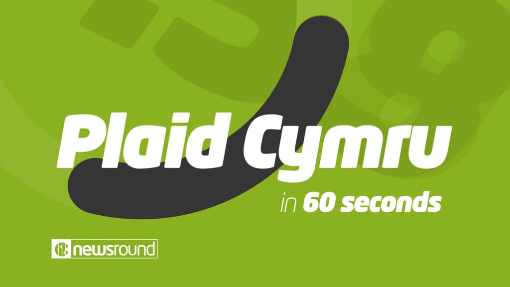 General Election 2019: Plaid Cymru in 60 seconds - BBC Newsround