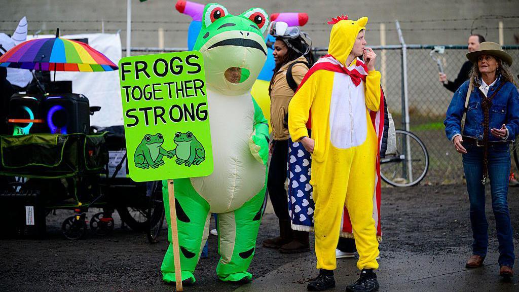 How frogs went from right-wing meme to anti-ICE protest symbol - BBC News