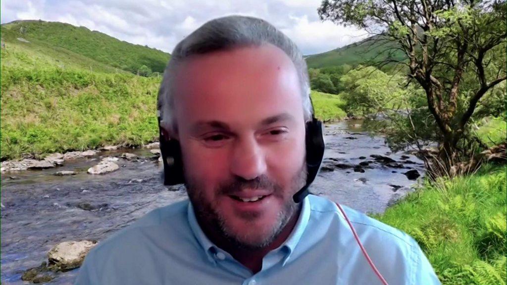 Rwdlan, hercan, bifish... beth ydyn nhw? - BBC Cymru Fyw