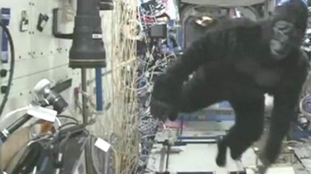 How a 'gorilla' got on the International Space Station - BBC Newsround