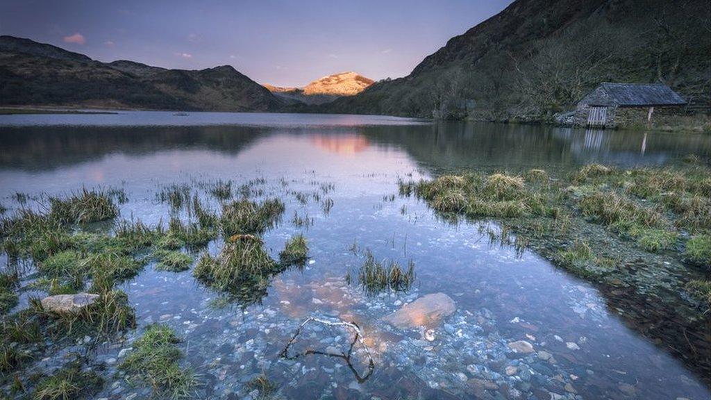 Lluniau: Cymru yn y gwanwyn // Wales in springtime - BBC Cymru Fyw
