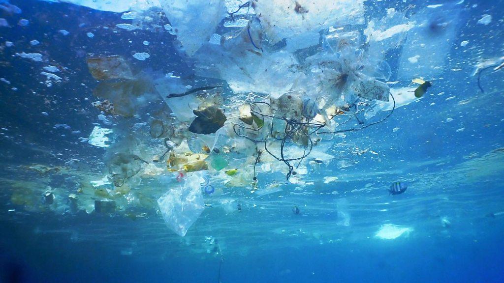 World Oceans Day: What problems are our oceans facing? - BBC Newsround