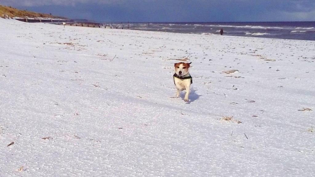 BBC Norfolk: Latest updates - BBC News