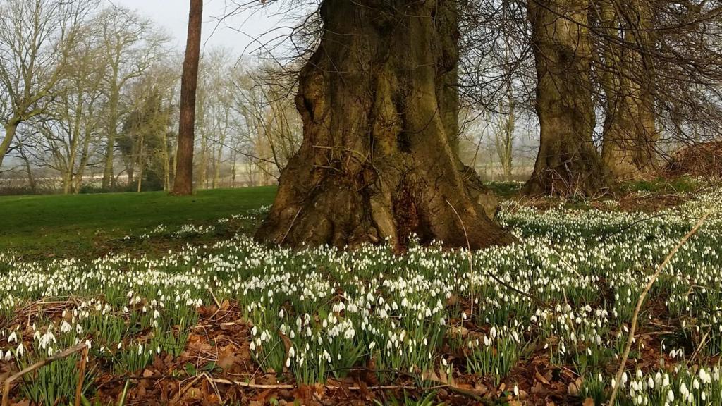 BBC Local Live: Nottinghamshire on Tuesday 14 February 2017 - BBC News