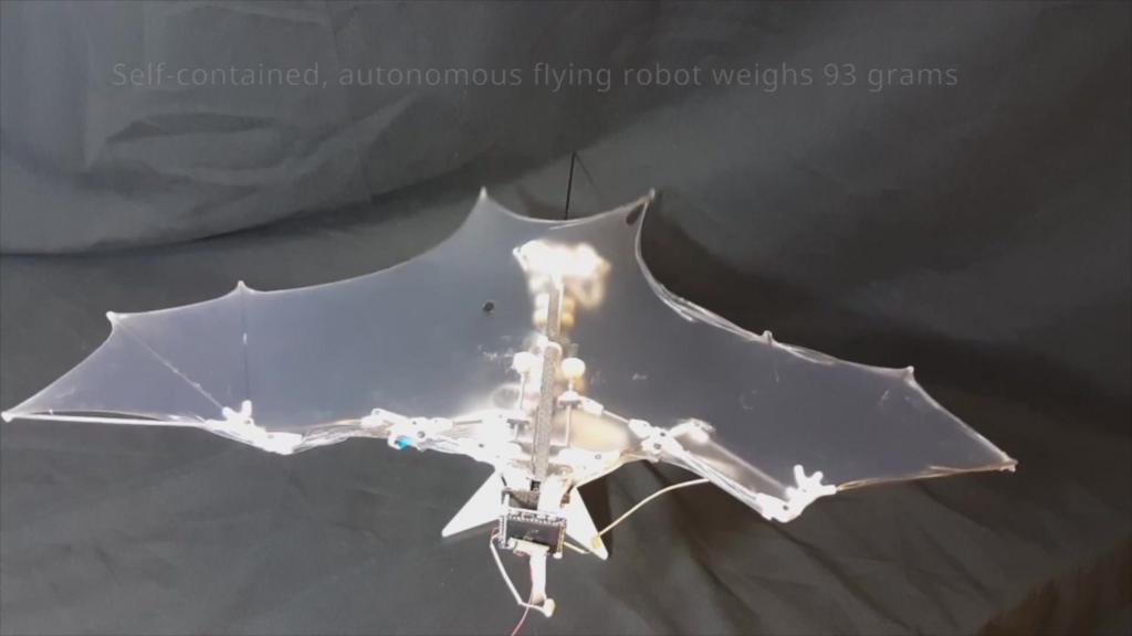 Scientists unveil new 'Bat Bot' - BBC Newsround