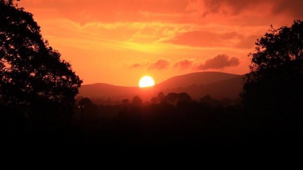 BBC News NI Live - Thursday 22 December 2016 - BBC News