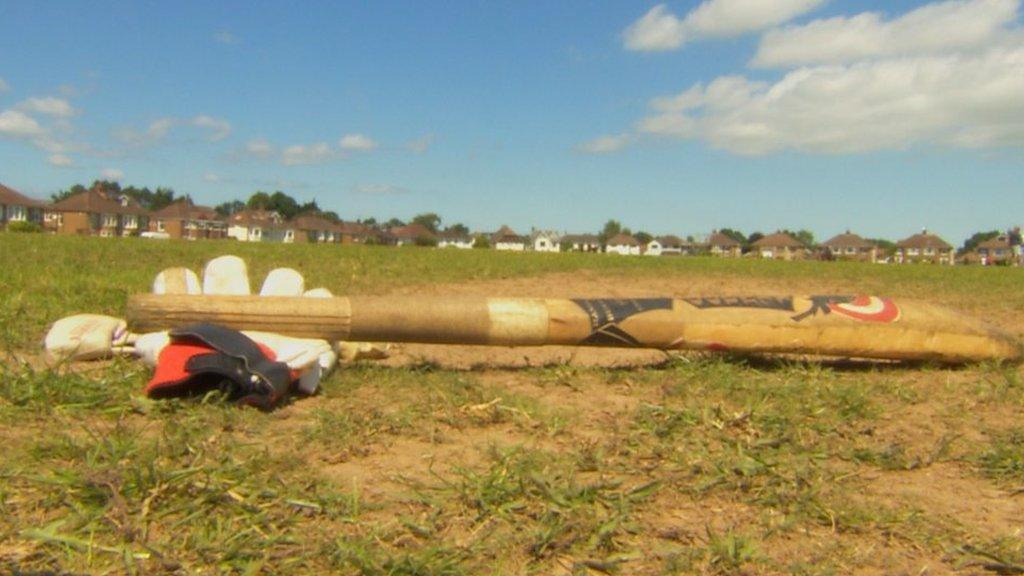 'It will keep our game alive' - the plan to save Welsh baseball - BBC Sport
