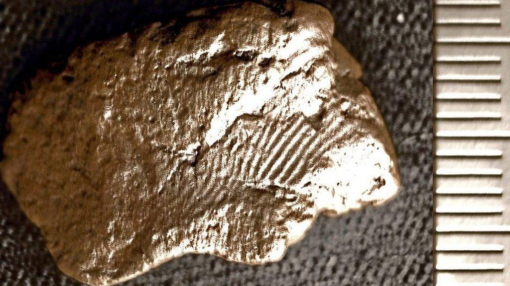Check out this 5,000-year-old fingerprint! - BBC Newsround
