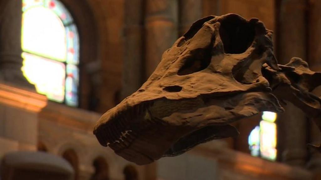 Dippy the Dinosaur is off on an adventure - BBC Newsround