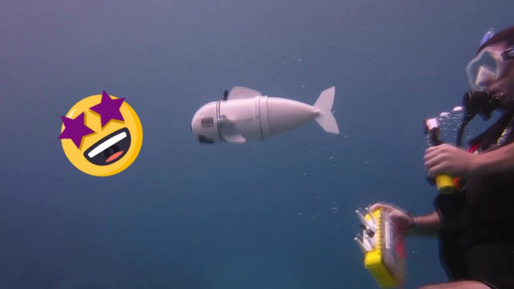 Meet Sofi the amazing robot fish - BBC Newsround
