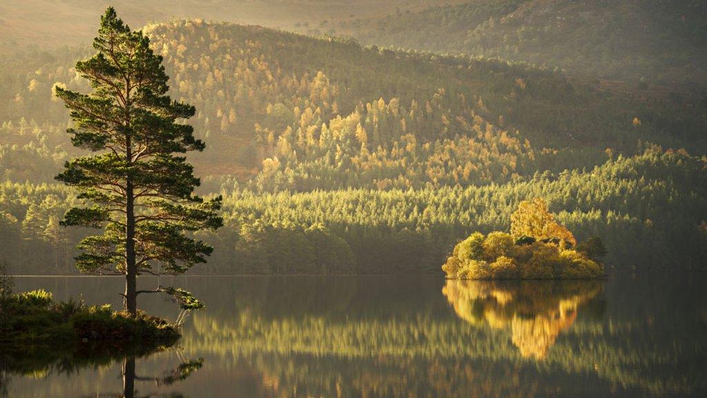 Landscape photography winners announced - BBC News