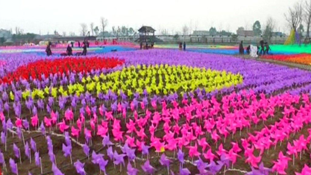 Thousands of windmills make amazing display in China - BBC Newsround