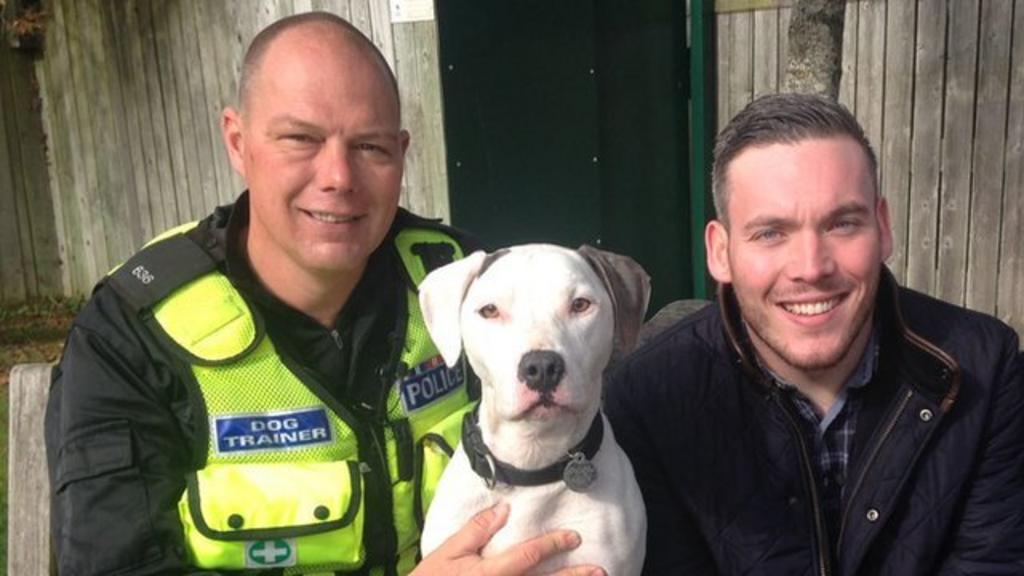 Staffy sniffer dogs helping the police fight crime - BBC Newsround