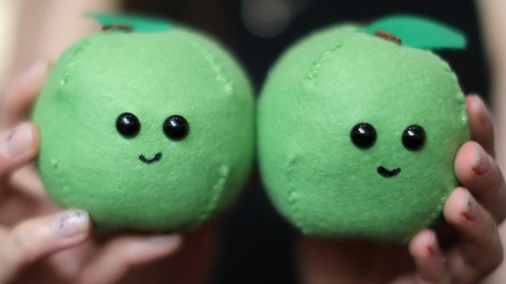 Fantastic food store made of... felt?! - BBC Newsround
