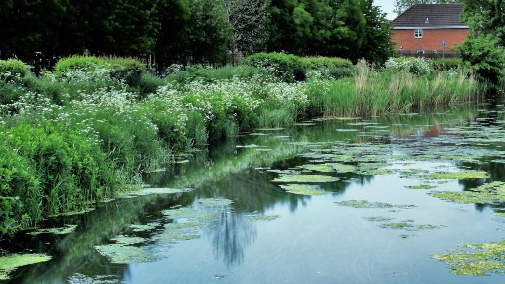 BBC Local Live: Nottinghamshire on Wednesday 1 June 2016 - BBC News