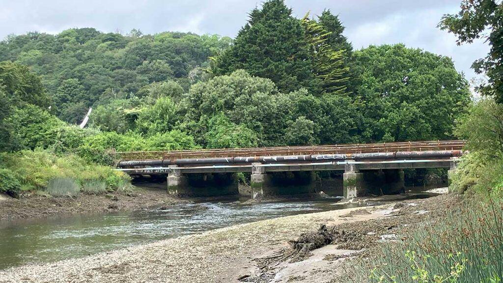 Rail replacement buses while River Plym bridge work carried out - BBC News