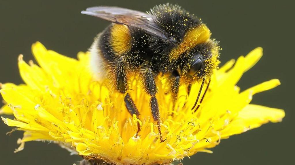 World Museum Liverpool and artist Wolfgang Buttress create new ...