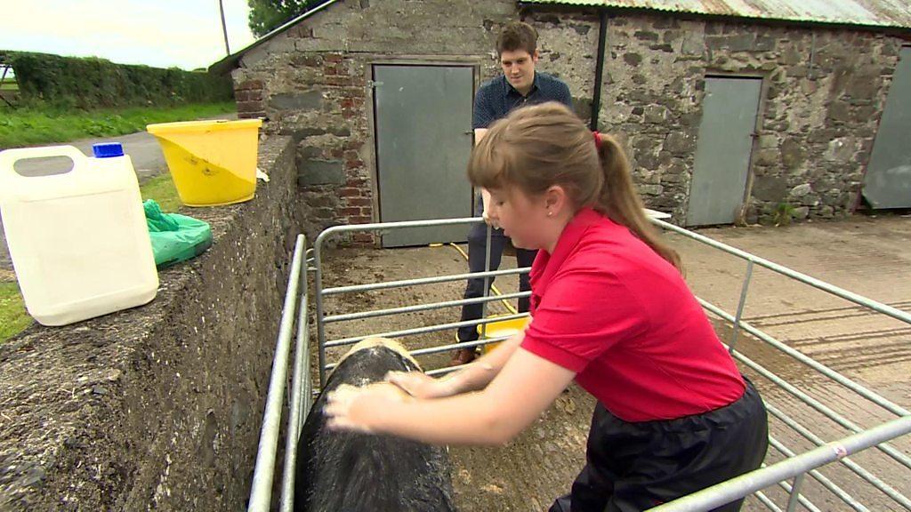 Samara Radcliffe, 12, becomes pig showing champion - BBC News