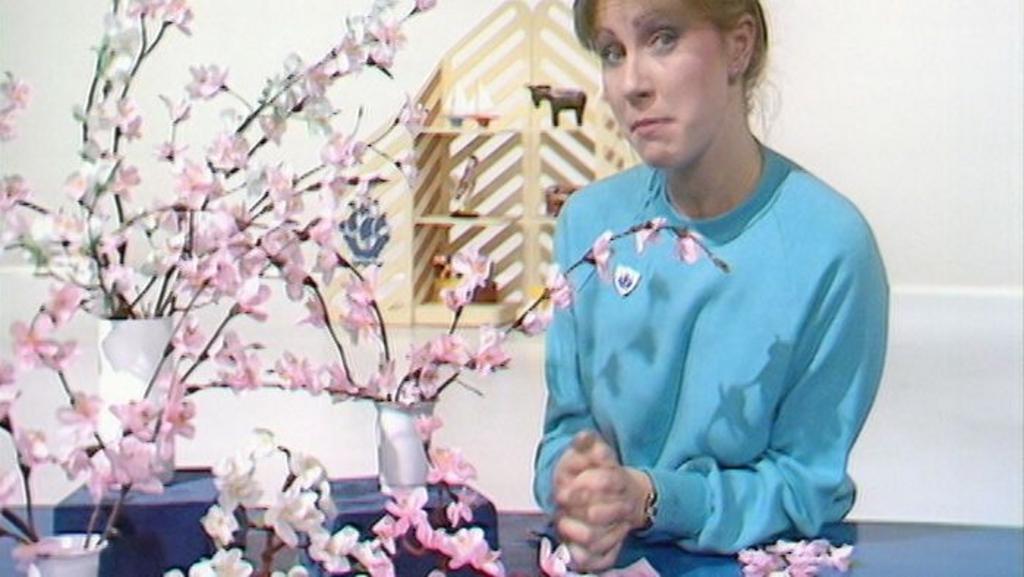 BBC Archive 1982: Mother's Day tissue blossoms - BBC