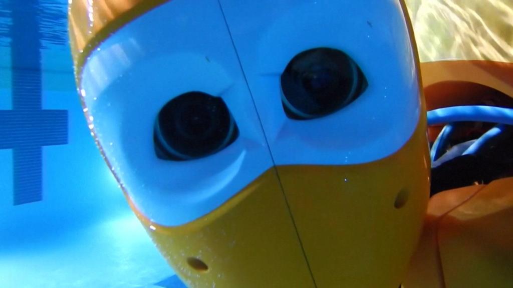 Meet OceanOneK - the underwater robot exploring the ocean - BBC Newsround