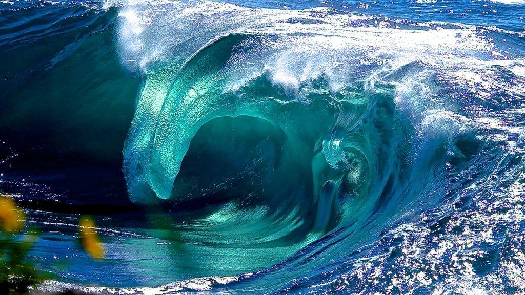 Ocean Film Festival heading to Inverness and Edinburgh - BBC News