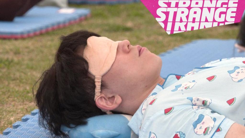 Strange News: The weirdest stories of the week - BBC Newsround