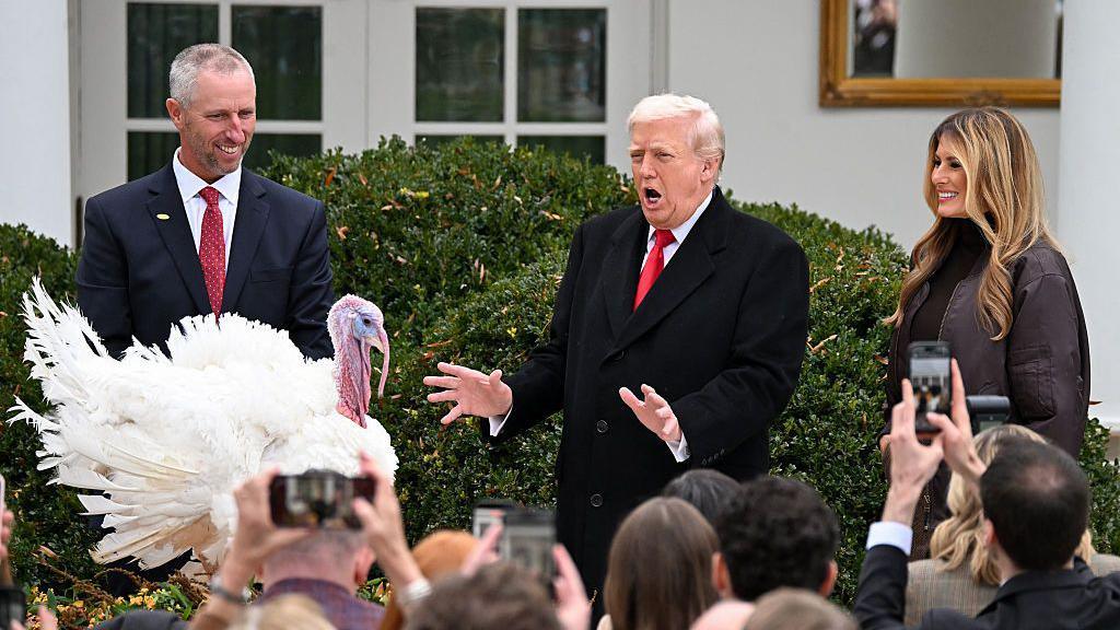 Trump pardons turkeys ahead of Thanksgiving - BBC News