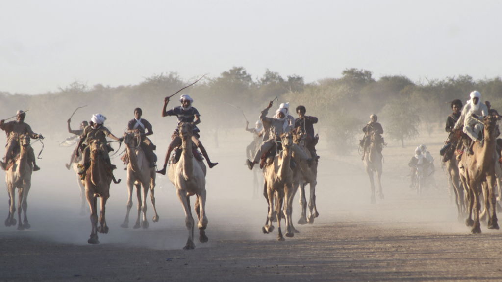 Africa Live this week: 26 December 2022-1 January 2023 - BBC News