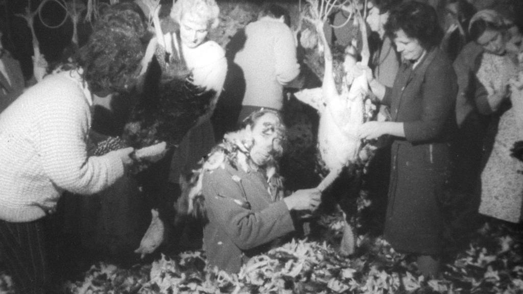 BBC Archive 1961: Trying out turkey plucking - BBC