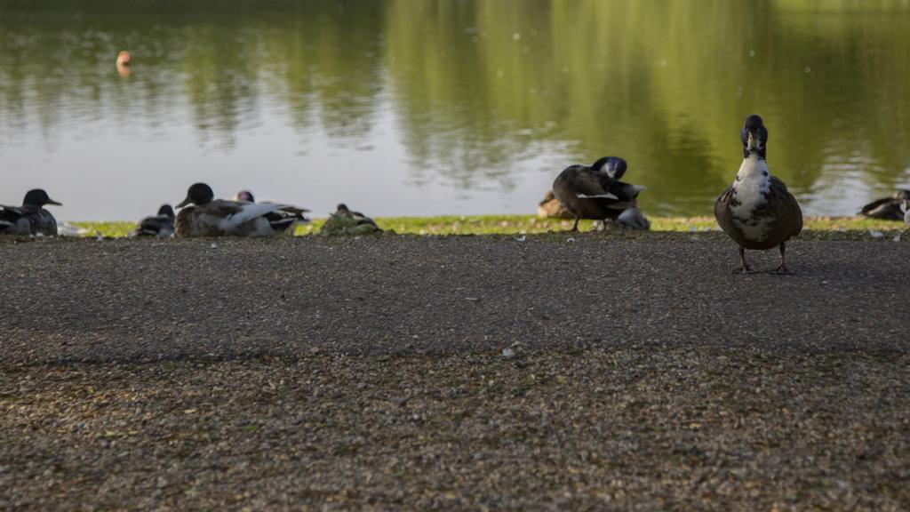 BBC Local Live: Suffolk - BBC News