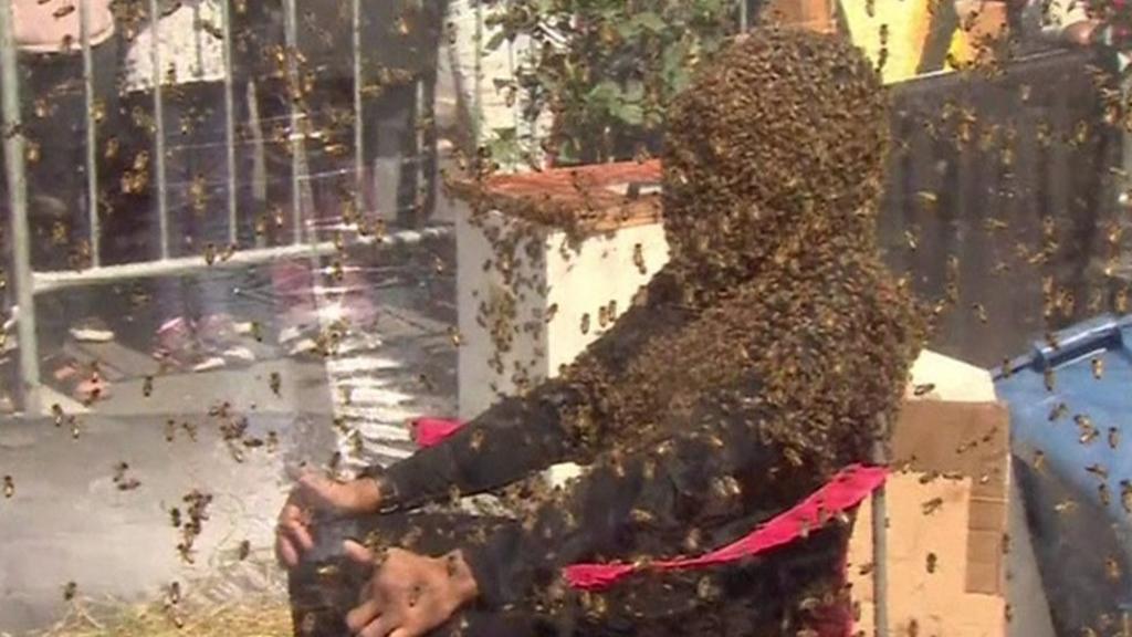 A man has broken the record for having a bee covered face - BBC Newsround