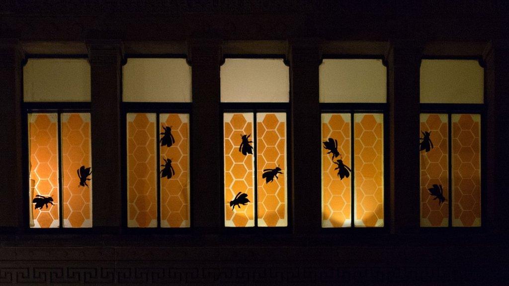 In pictures: Strathbungo Window Wanderland - BBC News