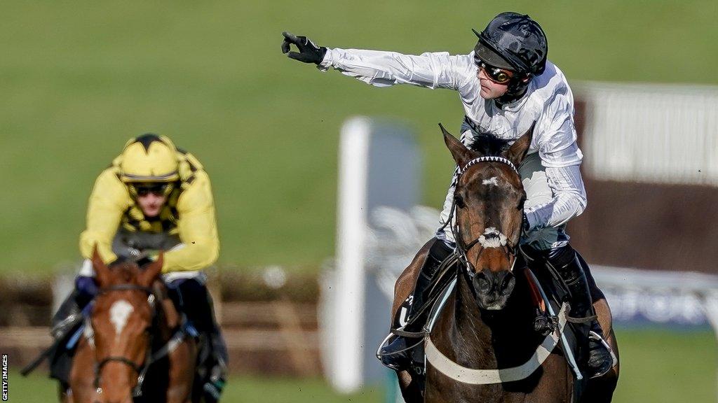 Constitution Hill: Champion Hurdle winner ruled out of Cheltenham ...