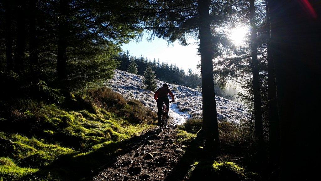 Your pictures of Scotland: 27 January - 3 February - BBC News