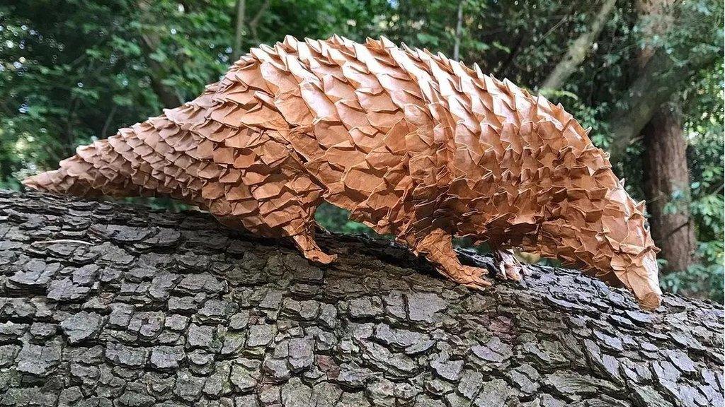 Origami Yodas and animals have 'got me through lockdown' - BBC News