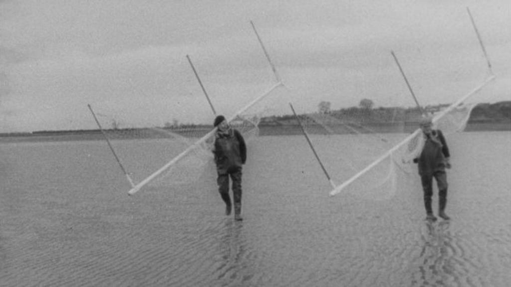 BBC Archive 1965: Haaf Netting in Cumbria - BBC
