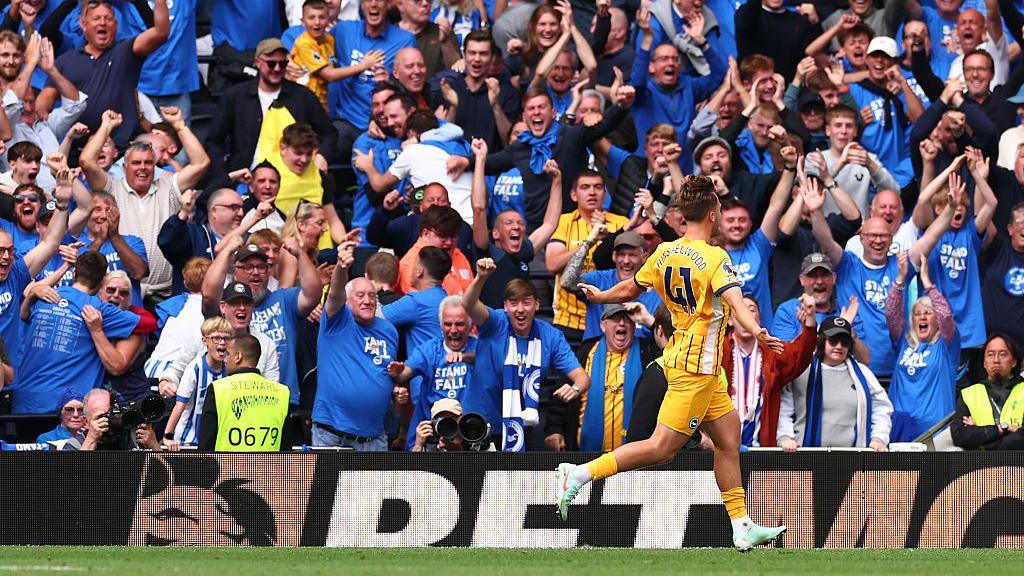 Brighton news: Fan views on end of season review - BBC Sport