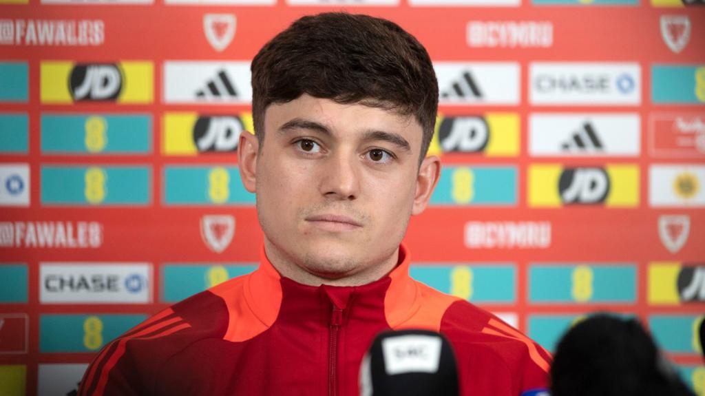 World Cup disappointment drives Wales forward Dan James - BBC Sport