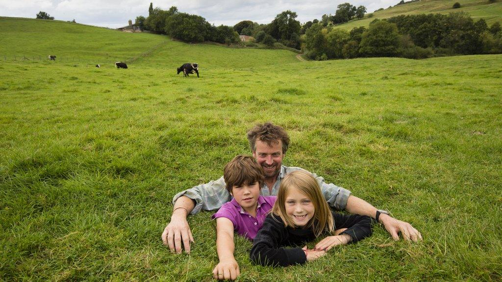 Missing Gloucester calf Sinky stuck in hole for nine days - BBC News