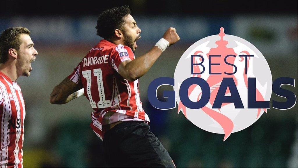 FA Cup: Best goals from 2018 FA Cup first round - BBC Sport